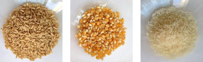 Obilniny - Modrý koník