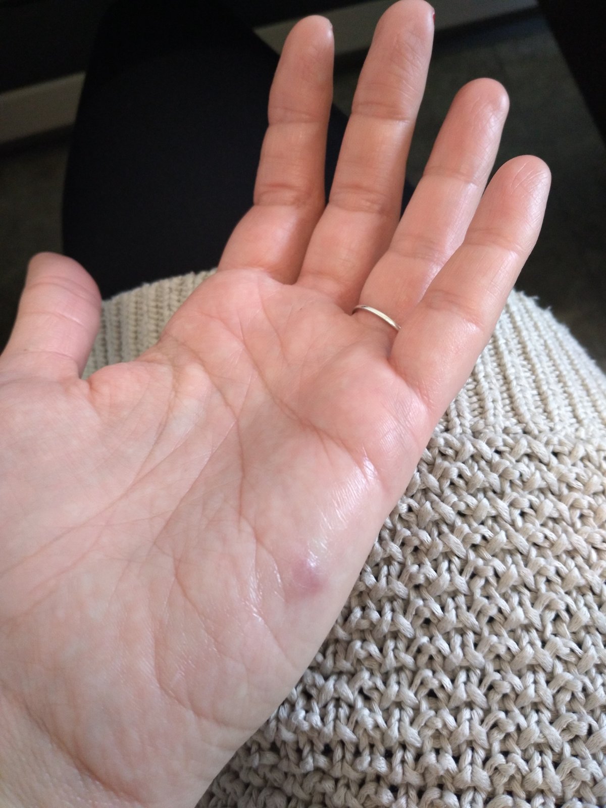 Hrčka na ruke - Modrý koník