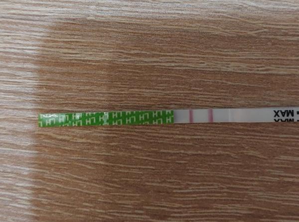 Ovulačný test - Modrý koník