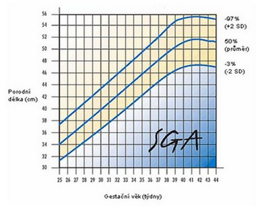 Malá hmotnosť na svoj vek - Modrý koník