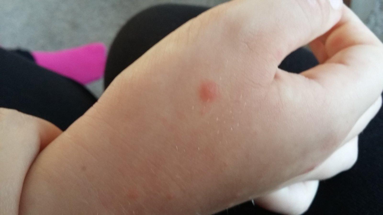 Sú to kiahne podľa vás? - Modrý koník