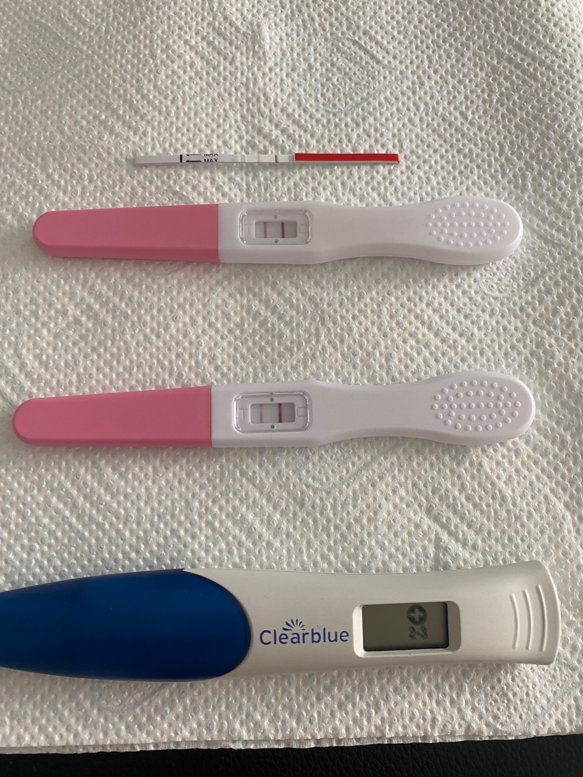 Kedy k doktorke, keď mám pozitívny tehotenský test? - Modrý koník