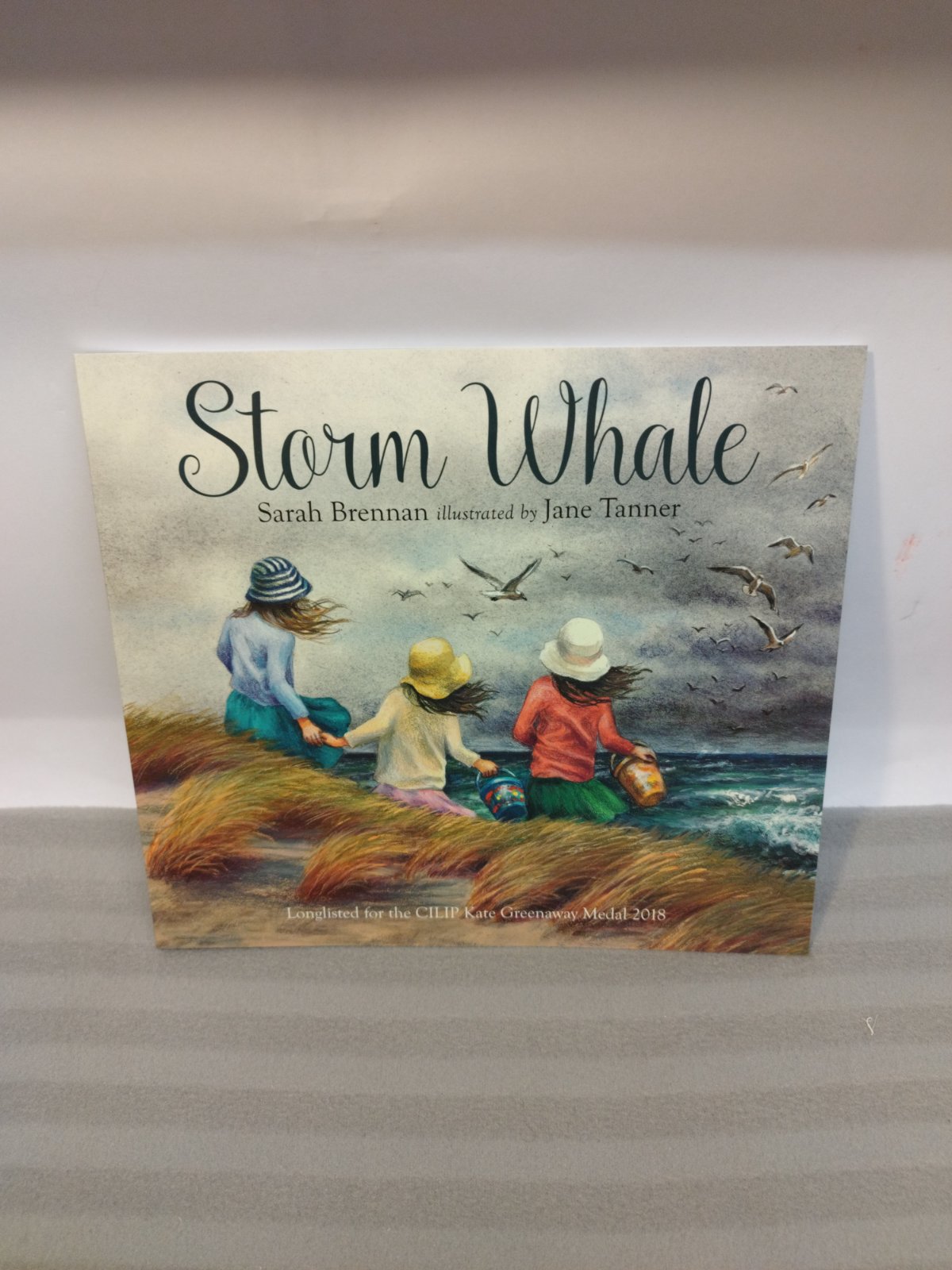 Sarah brennan - the storm whale nau23, - 3,50 € od predávajúcej ...