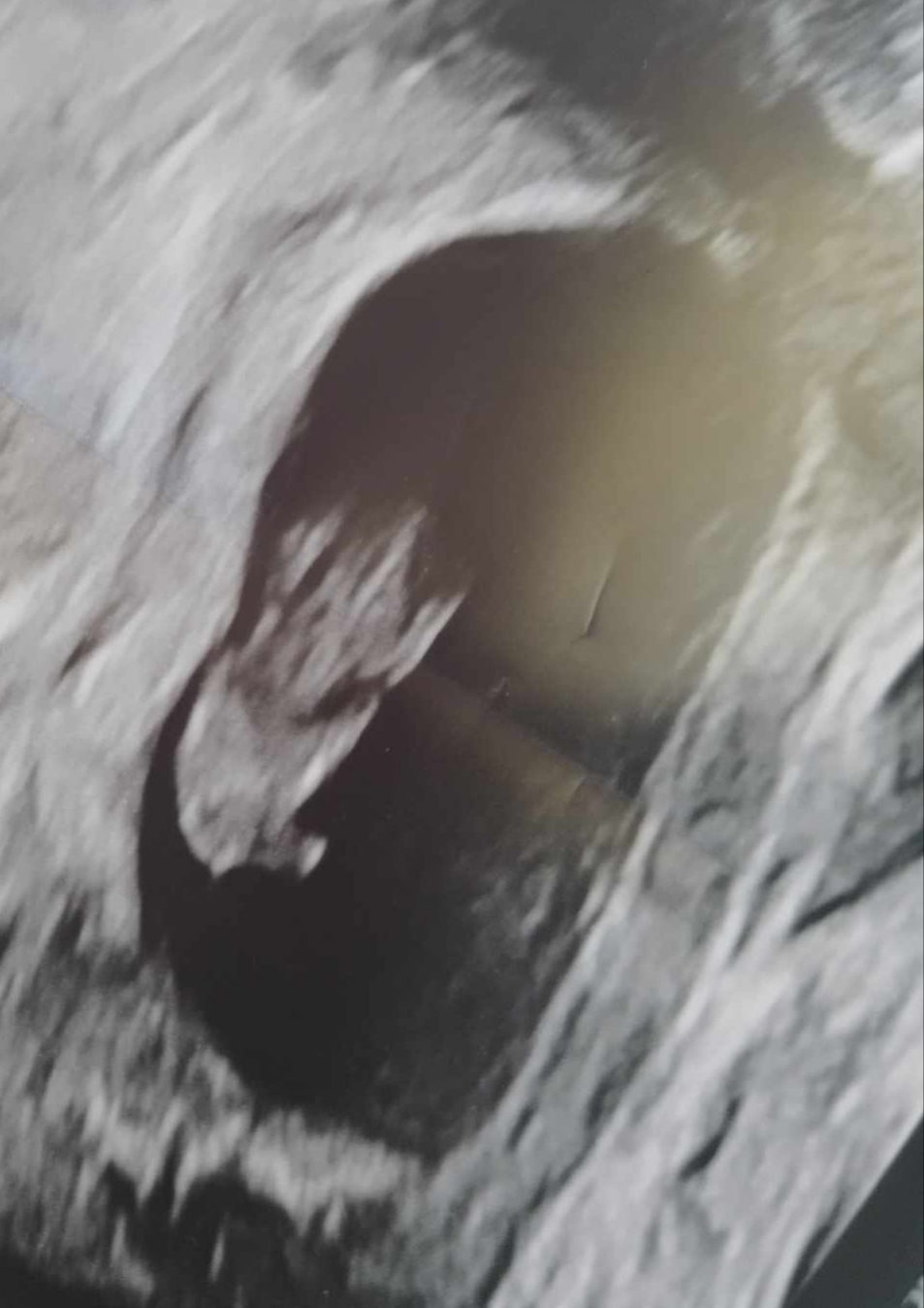 Vidíte tam niečo? - Modrý koník