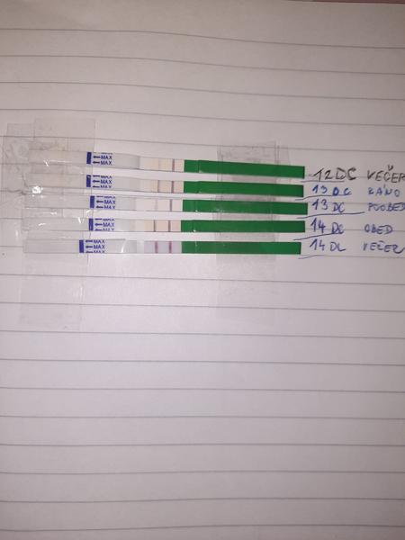 Je to pozitívny ovulacčný test? - Modrý koník