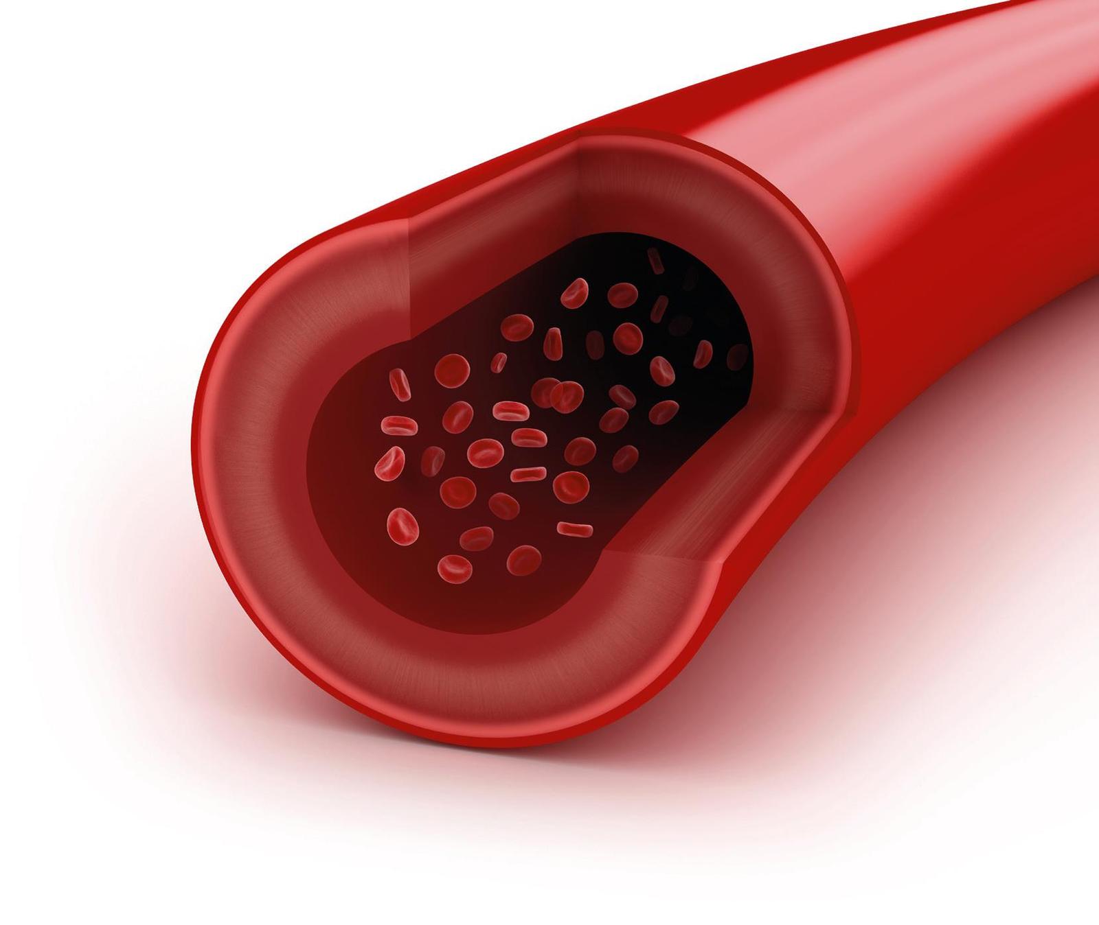 Ako udržať čisté a zdravé cievy? - Modrý koník